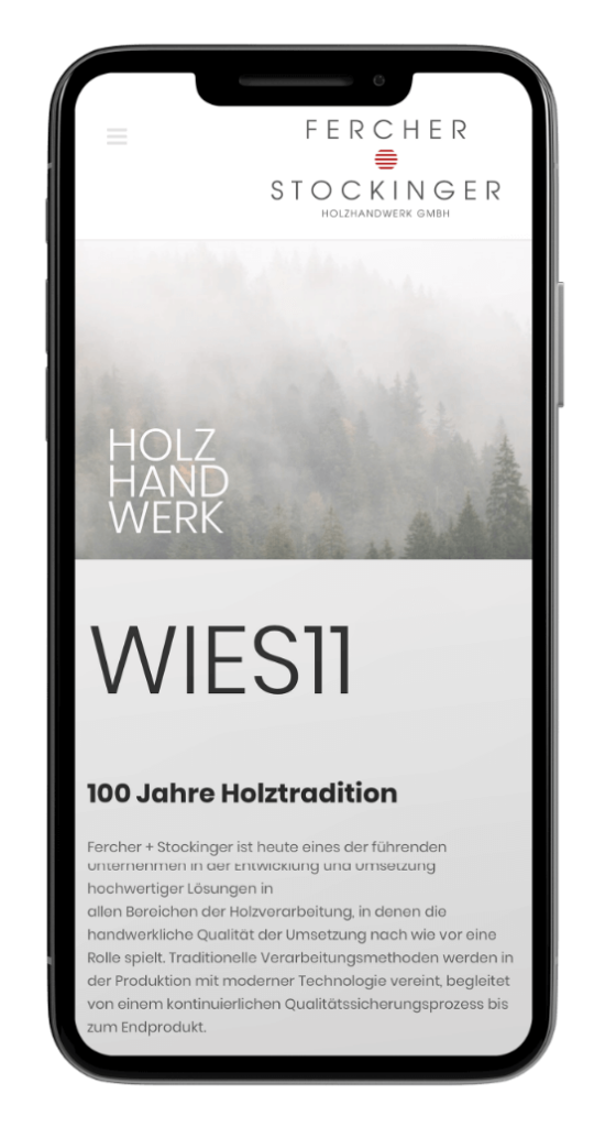 Fercher Stockinger CD & Foto - WARP3